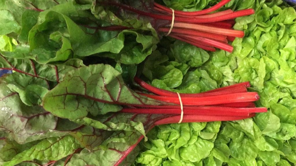 Botiga – Camí de L´Horta